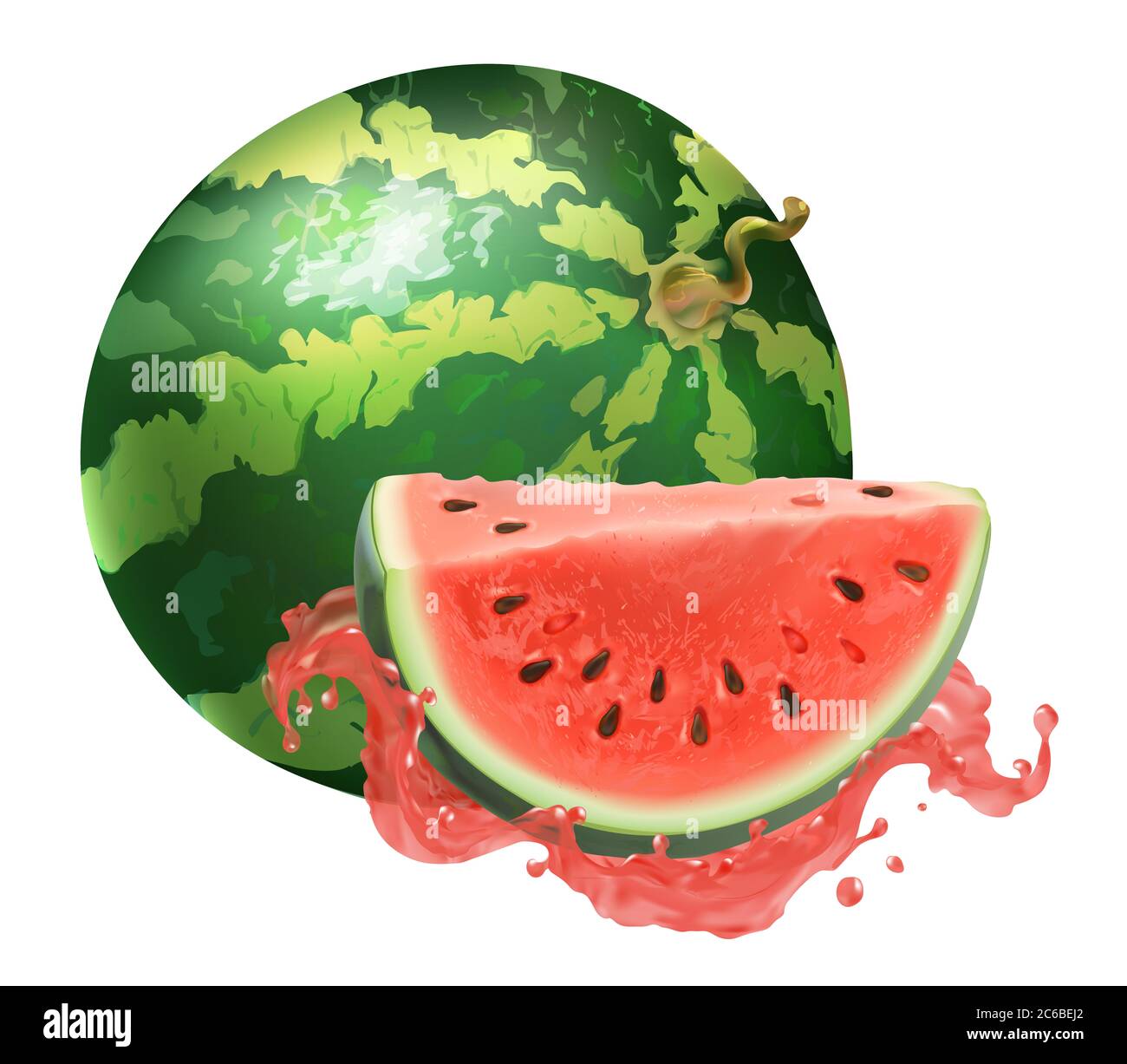 Watermelon slice, round, juice. Fresh fruit. 3d realism, object ...