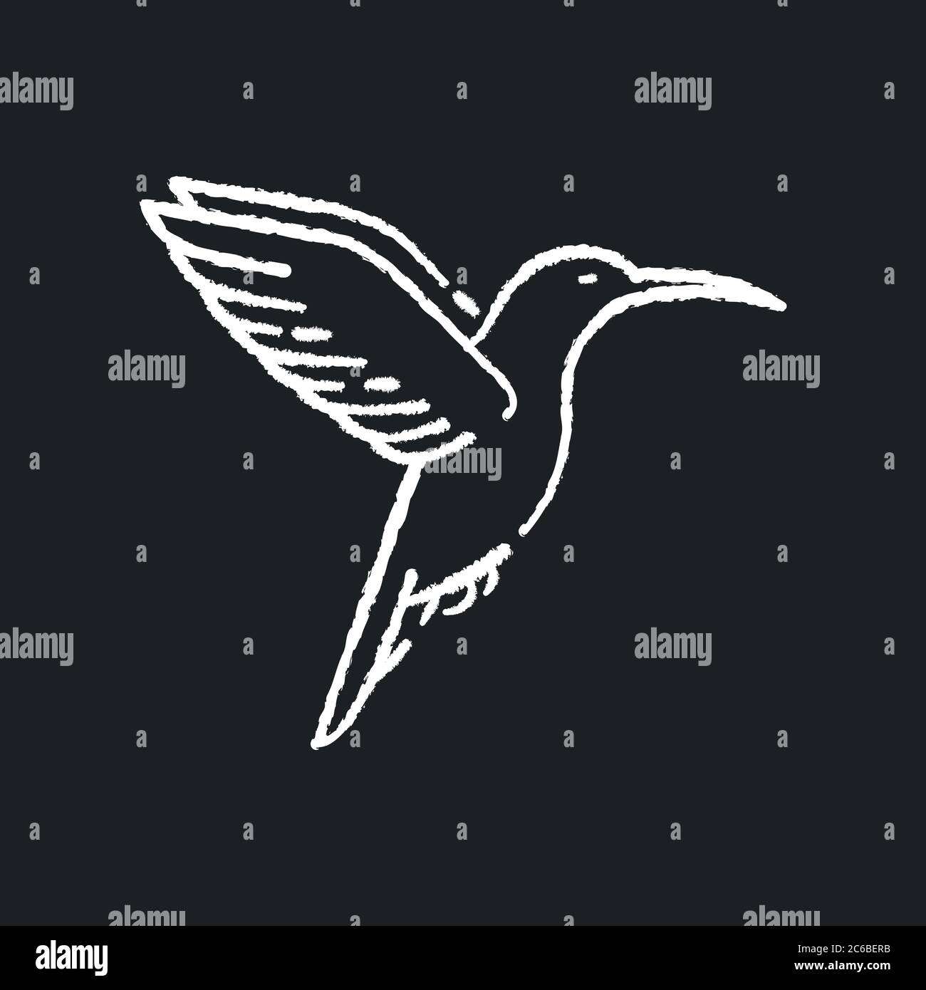 Humming bird flying rainforest Black and White Stock Photos & Images ...