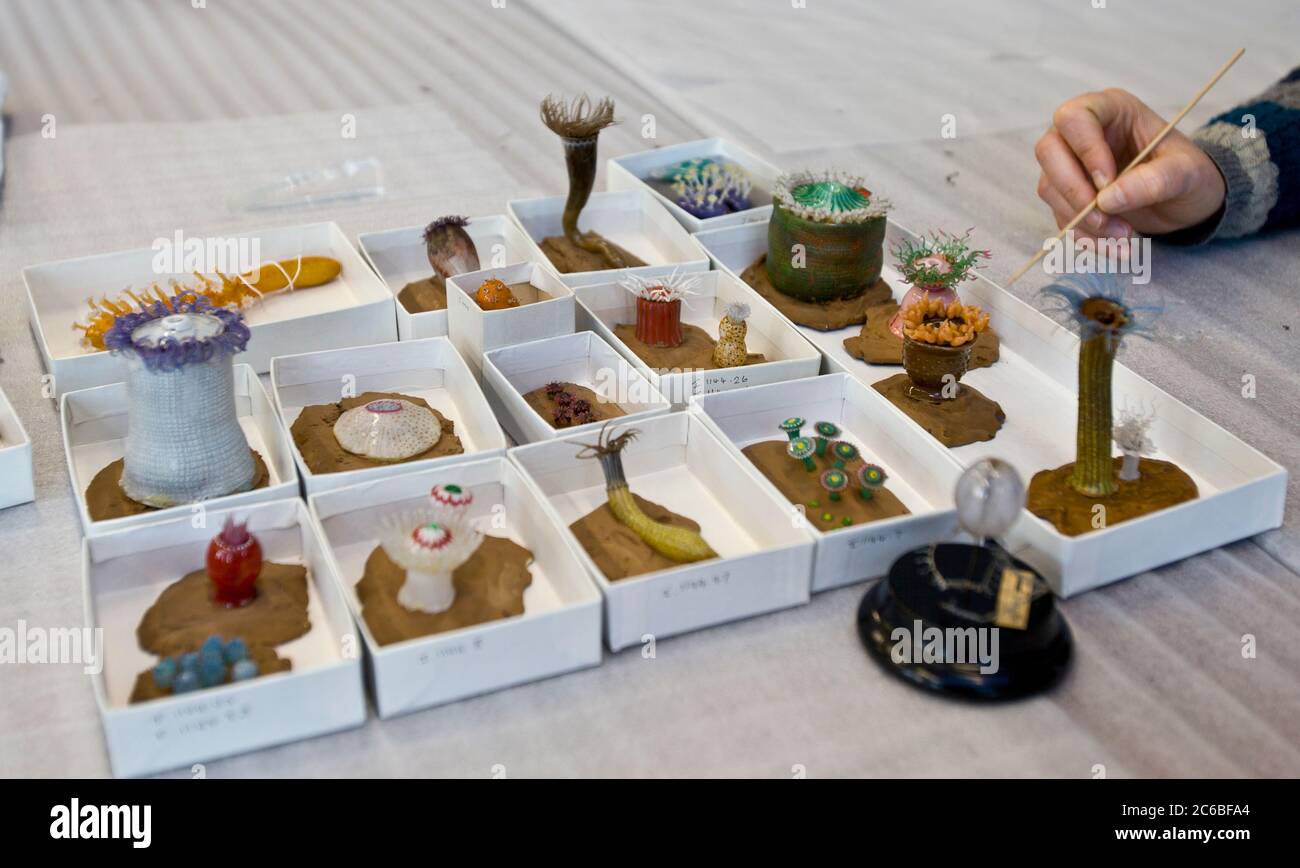 Botany and nature. Botanical learning and teaching. Plants, science ...