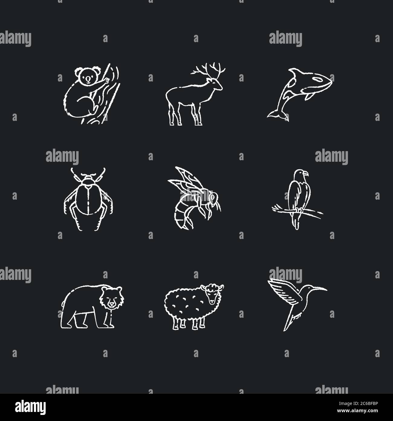 Animal species chalk white icons set on black background. Flying birds ...