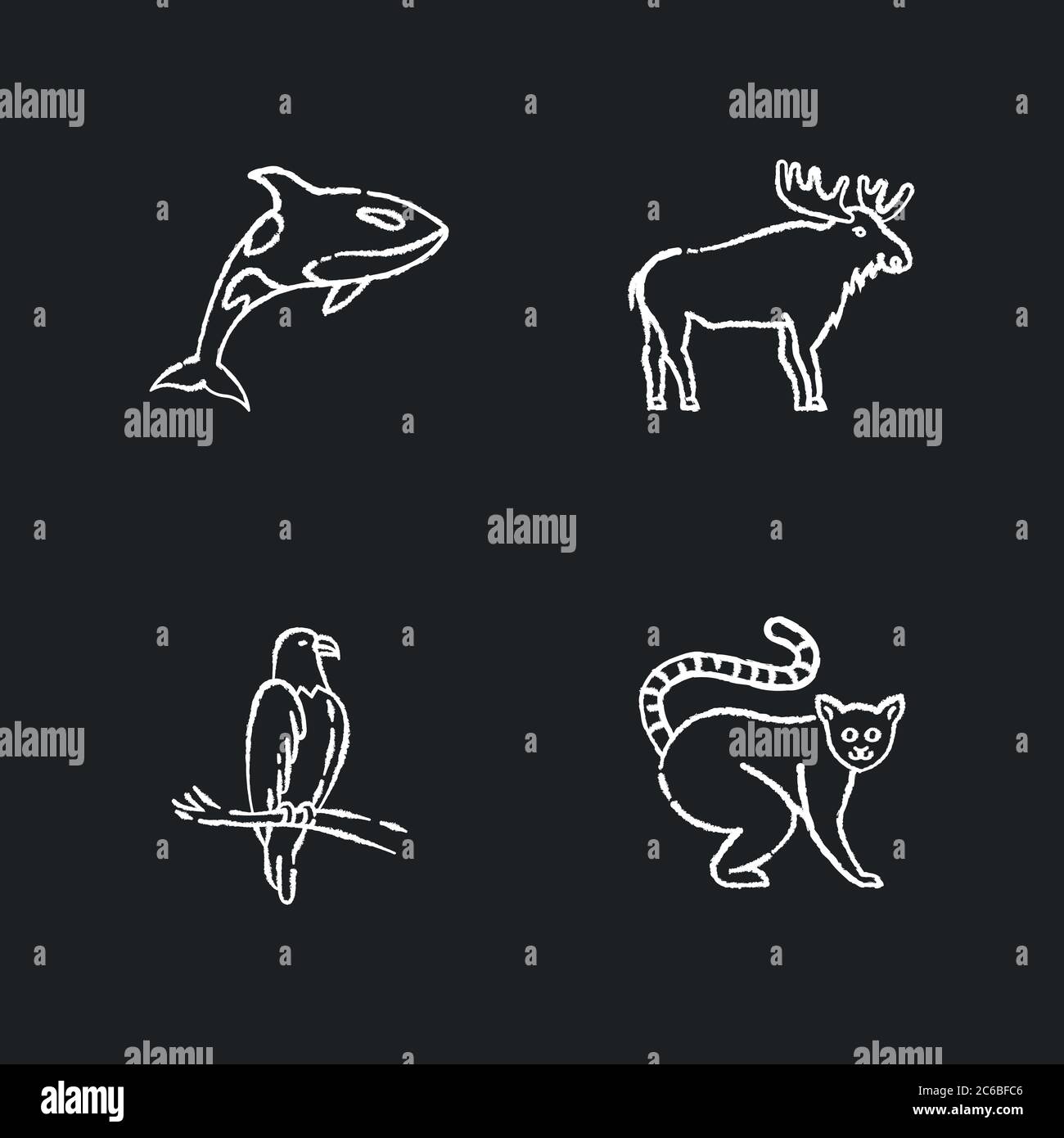 Different animal species chalk white icons set on black background ...