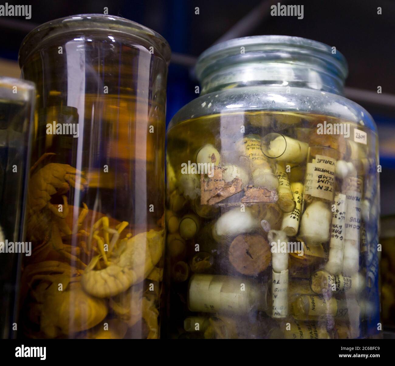 Record keeping hi-res stock photography and images - Alamy