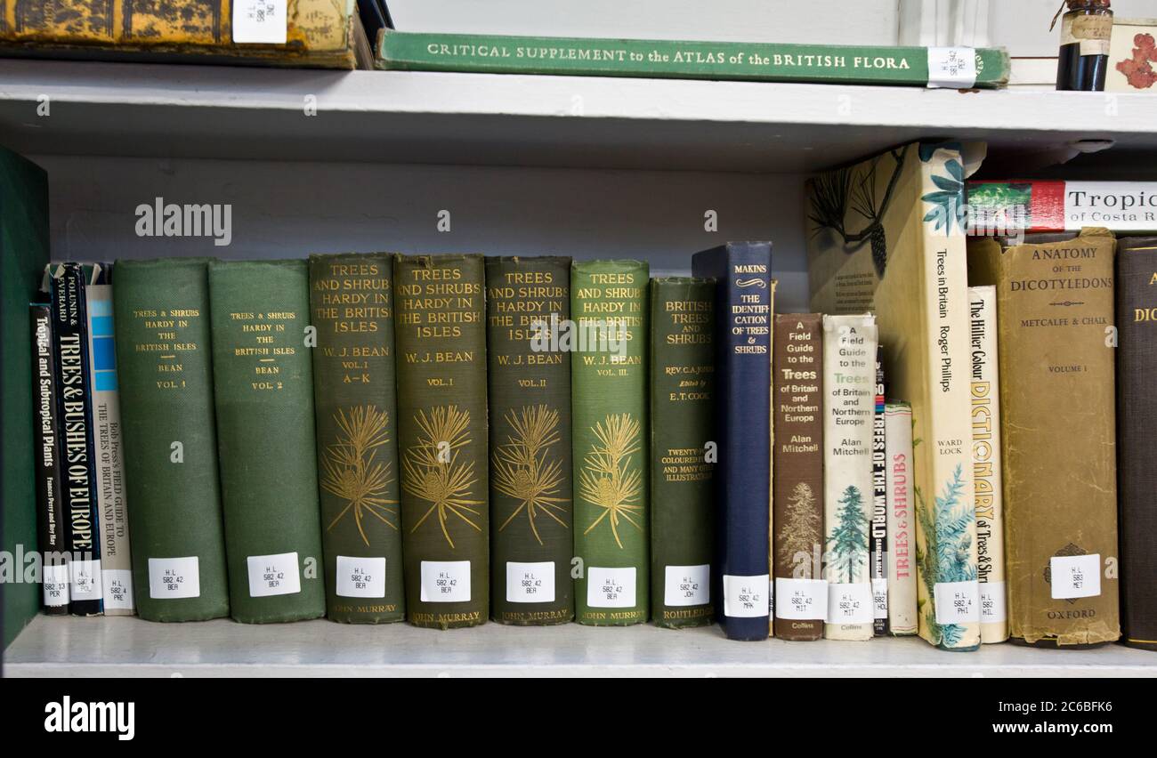 Botanical learning and teaching. Plants, science, record keeping ...