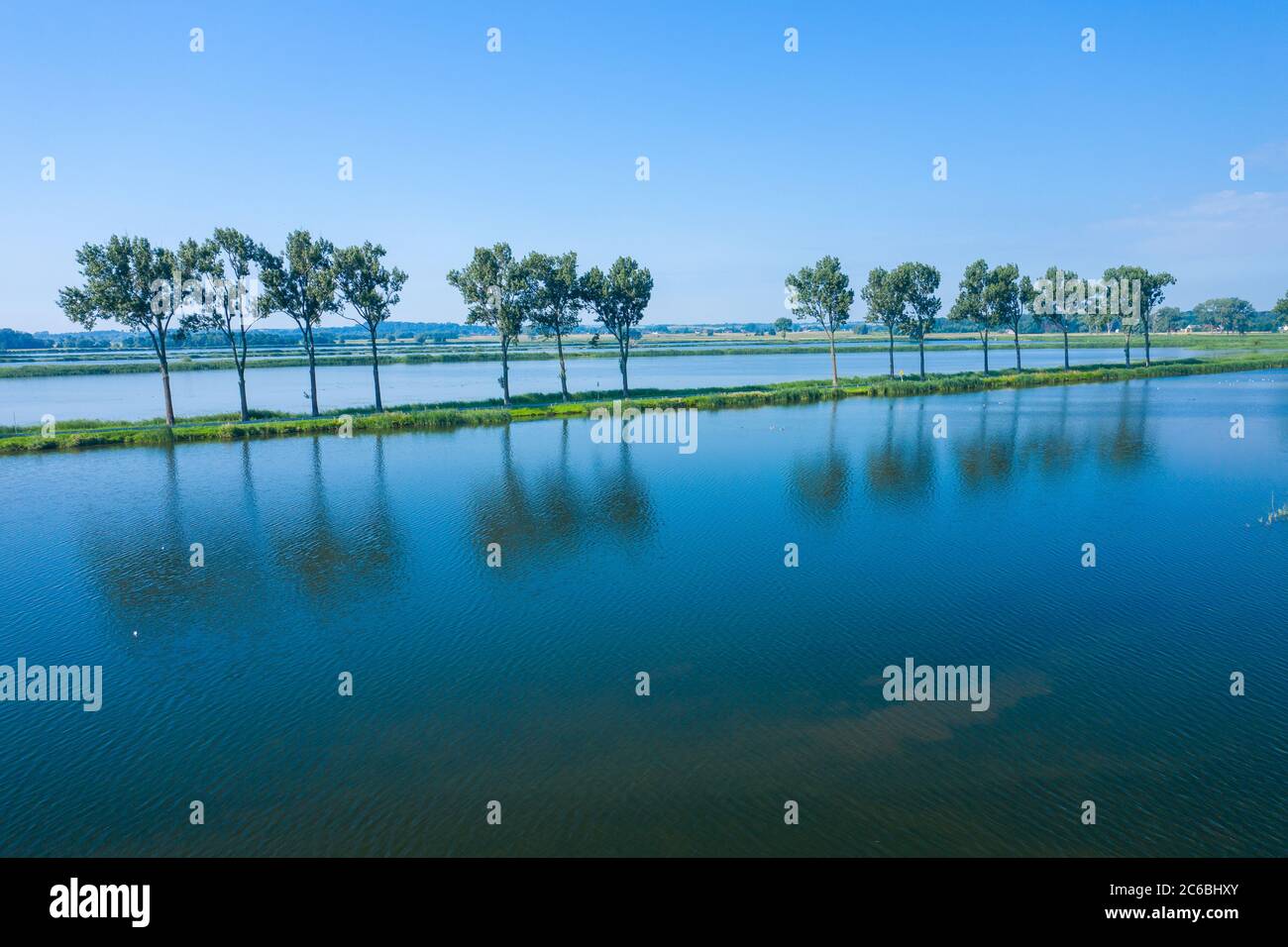 Aerial pine trees roads hi-res stock photography and images - Alamy