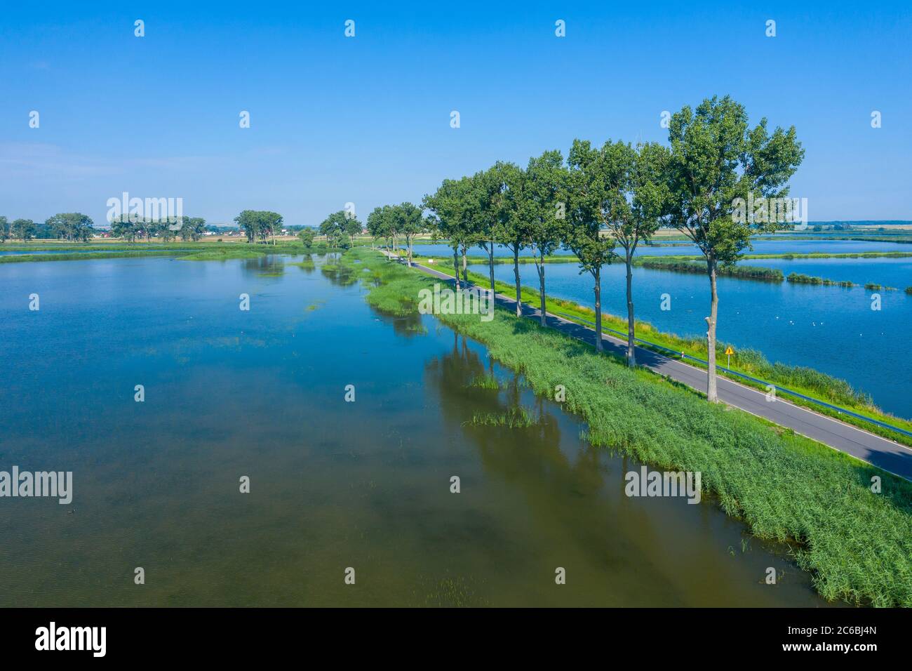 Aerial green pine trees roads hi-res stock photography and images - Alamy