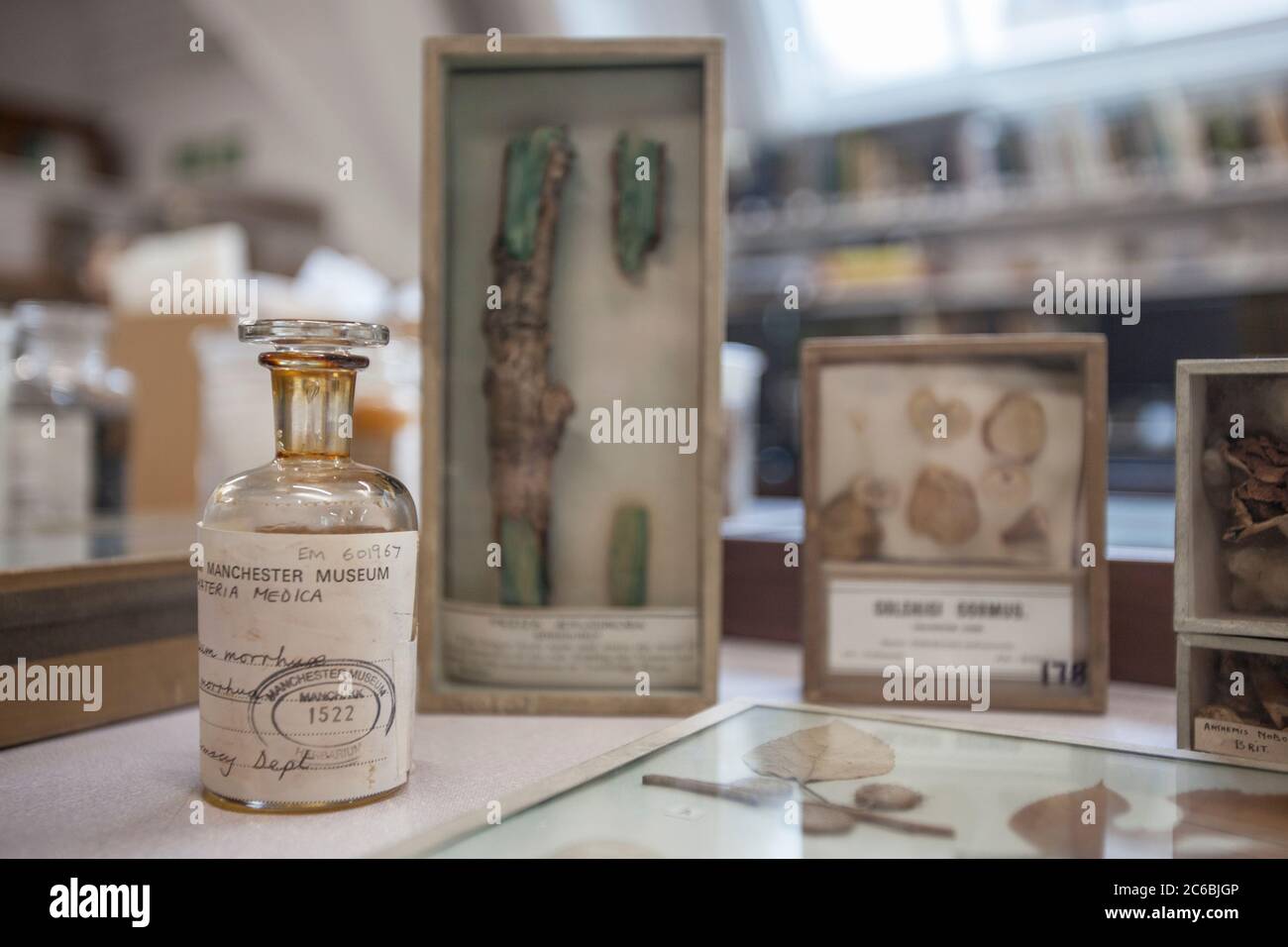 Botany and nature. Botanical learning and teaching. Plants, science ...