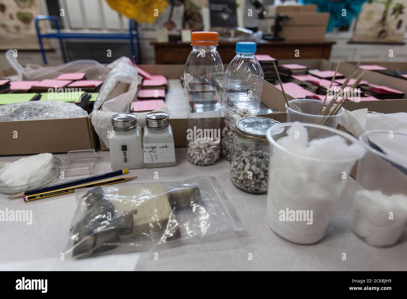 Cleaning glass slides hi-res stock photography and images - Alamy