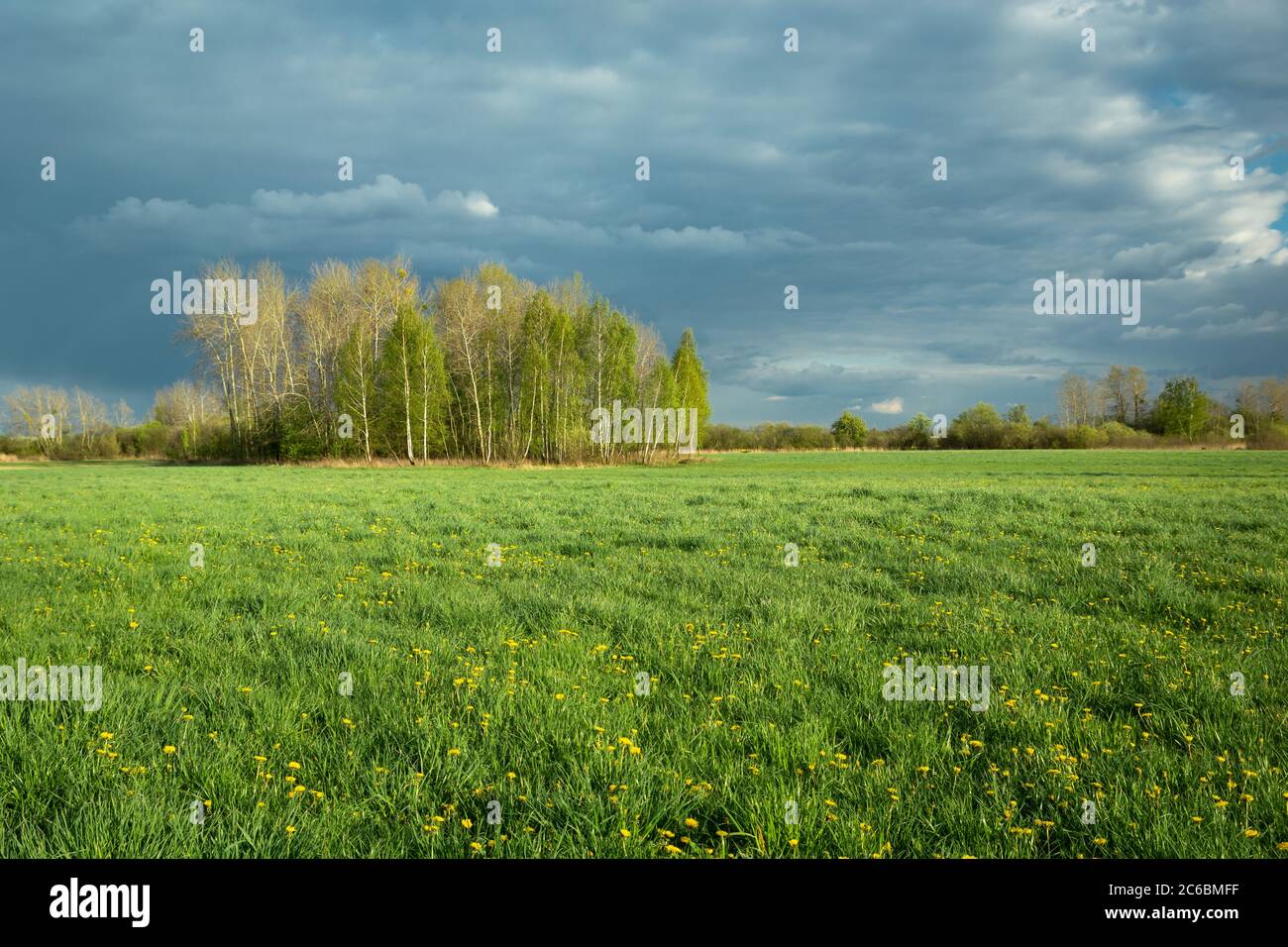Beautiful nature scene green meadow hi-res stock photography and images ...