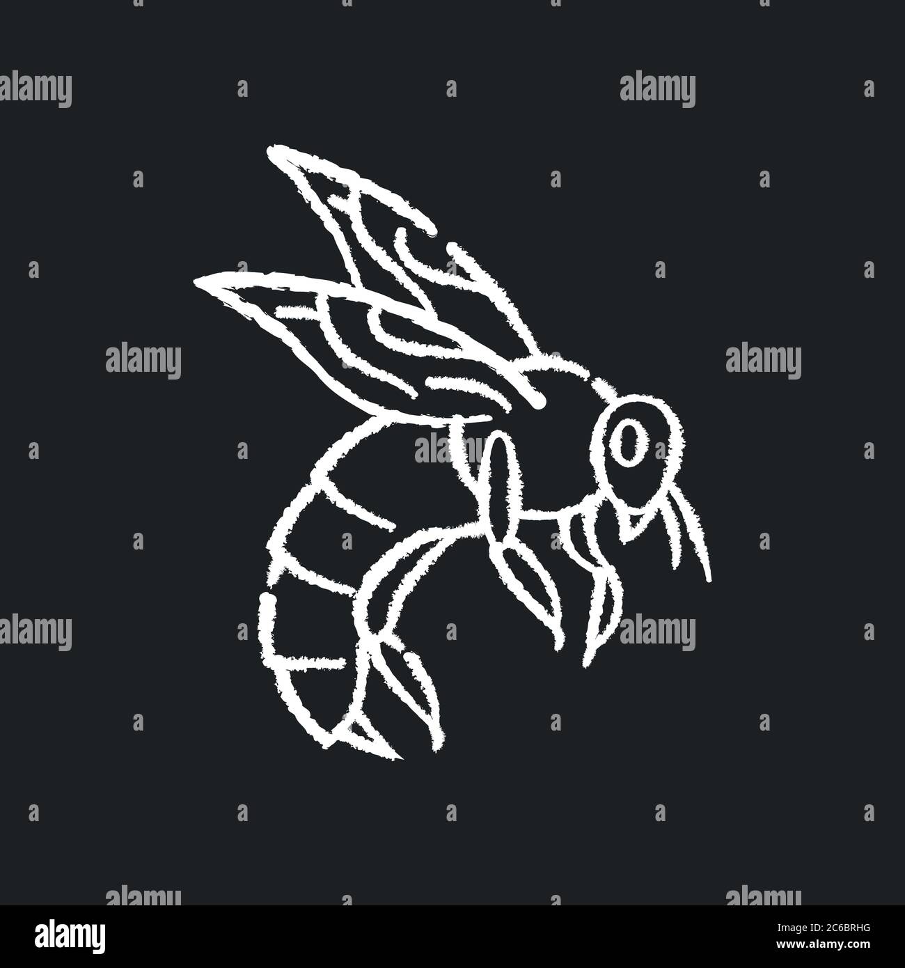 Flower of ordinary white Stock Vector Images - Alamy