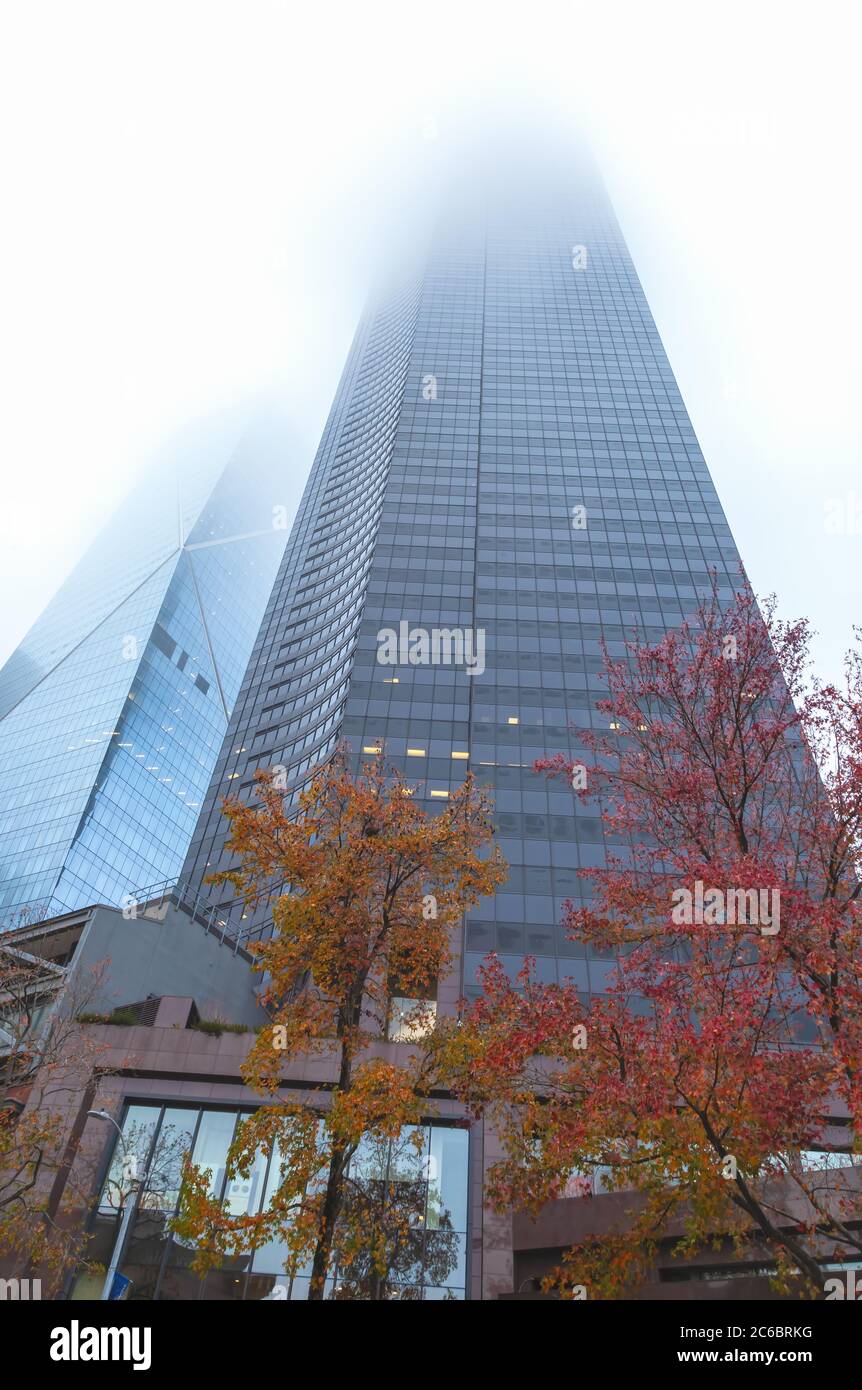 Seattle washington fall foliage hi-res stock photography and images - Alamy