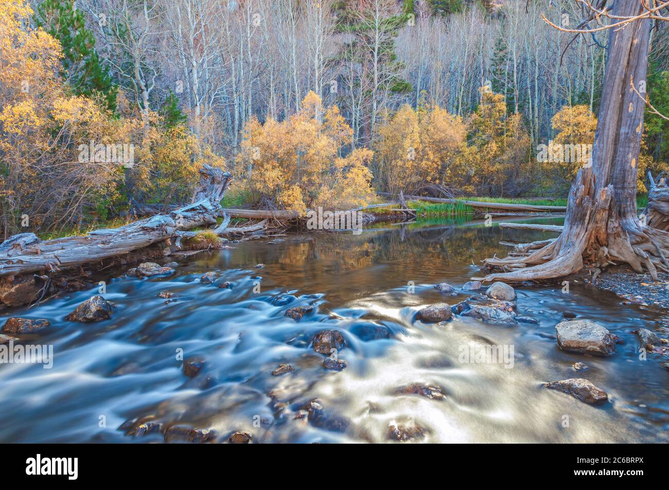 June lake loop creek hi-res stock photography and images - Alamy