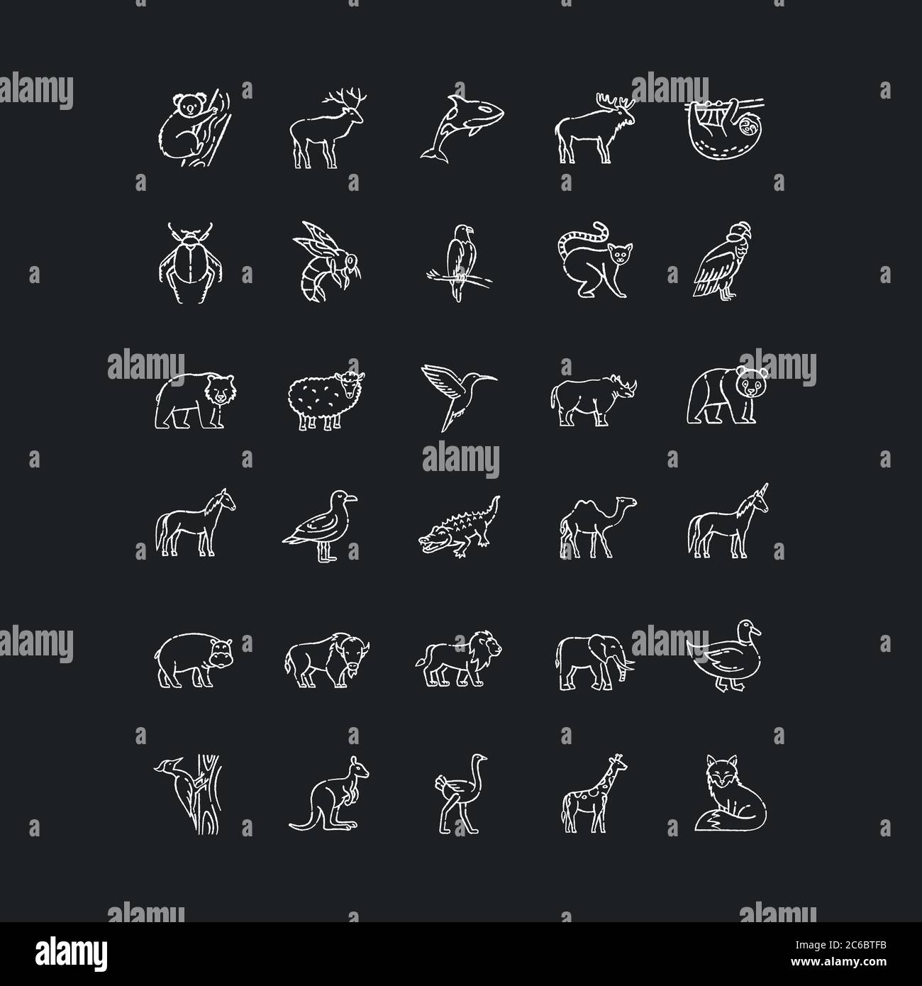 Wildlife chalk white icons set on black background. Ordinary animals ...