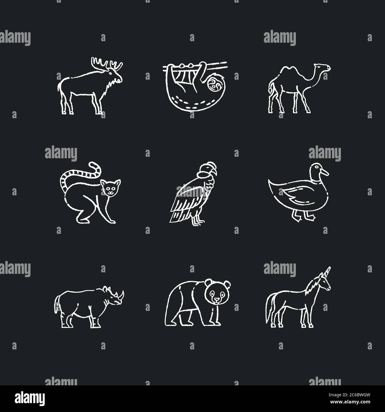 Mammals and birds chalk white icons set on black background. Flying and ...