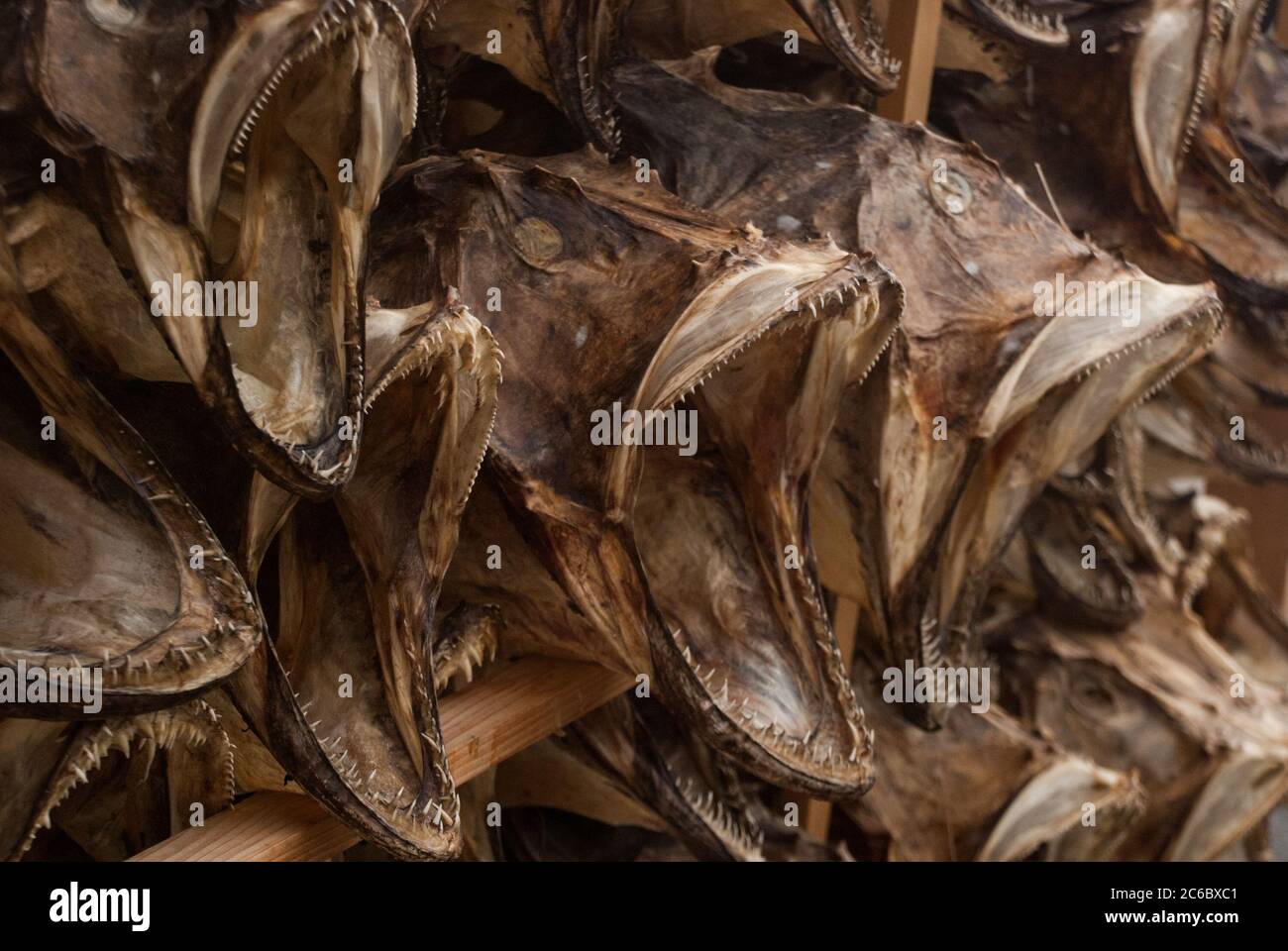 Dried cod heads piled in a bale Stock Photo - Alamy