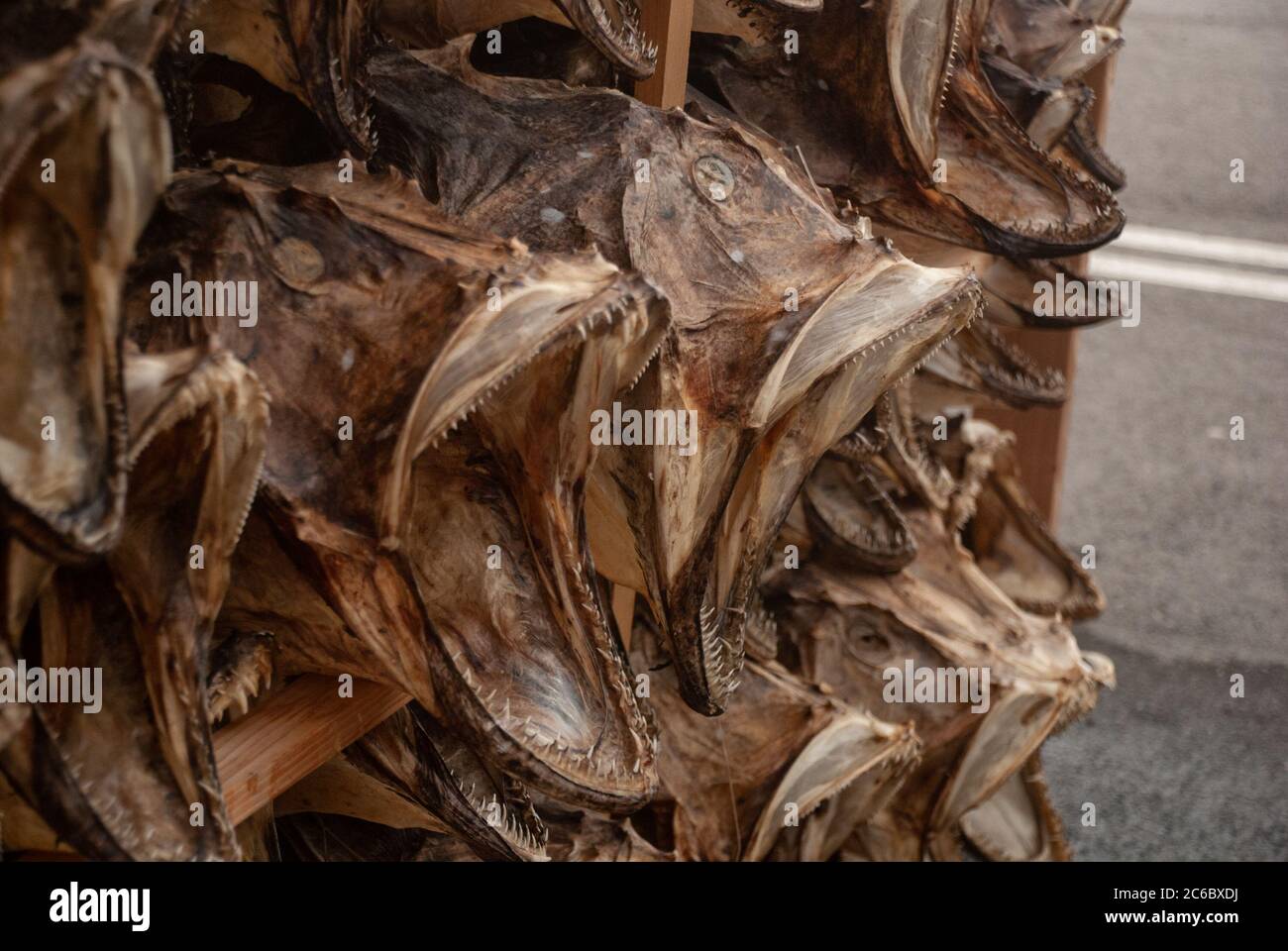 Dried cod heads piled in a bale Stock Photo - Alamy