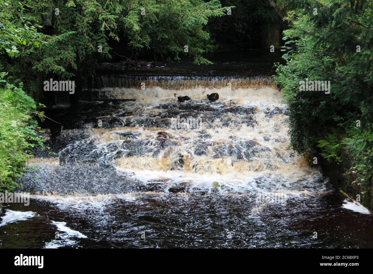 Small, brown waterfall through Manor Park in Glossop, England Stock ...