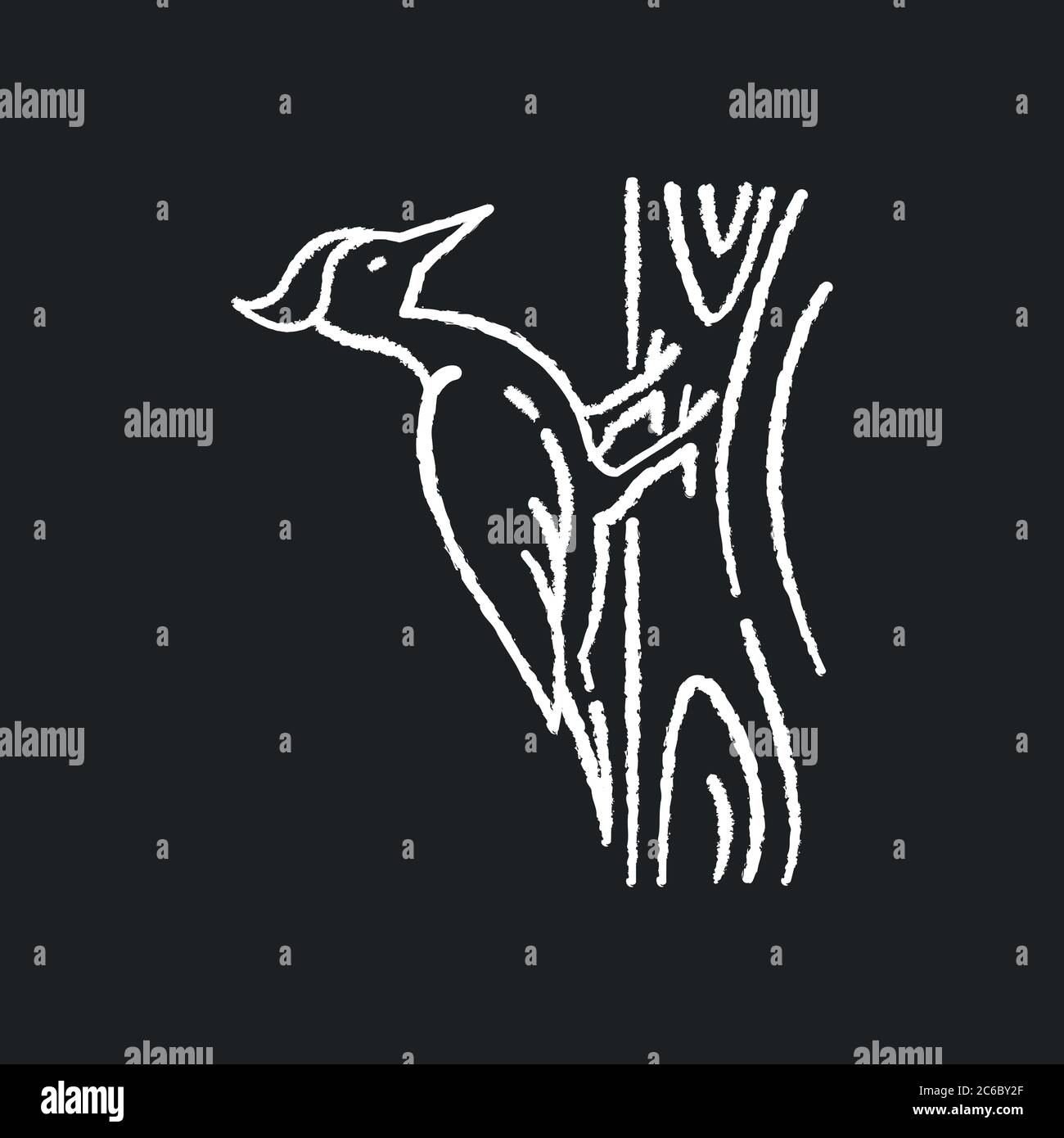 Woodpecker chalk white icon on black background. Common bird, forest ...