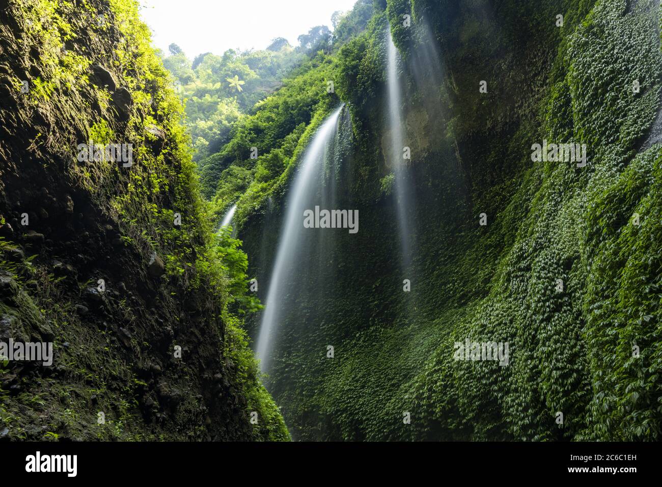 Air terjun madakaripura waterfall hi-res stock photography and images ...