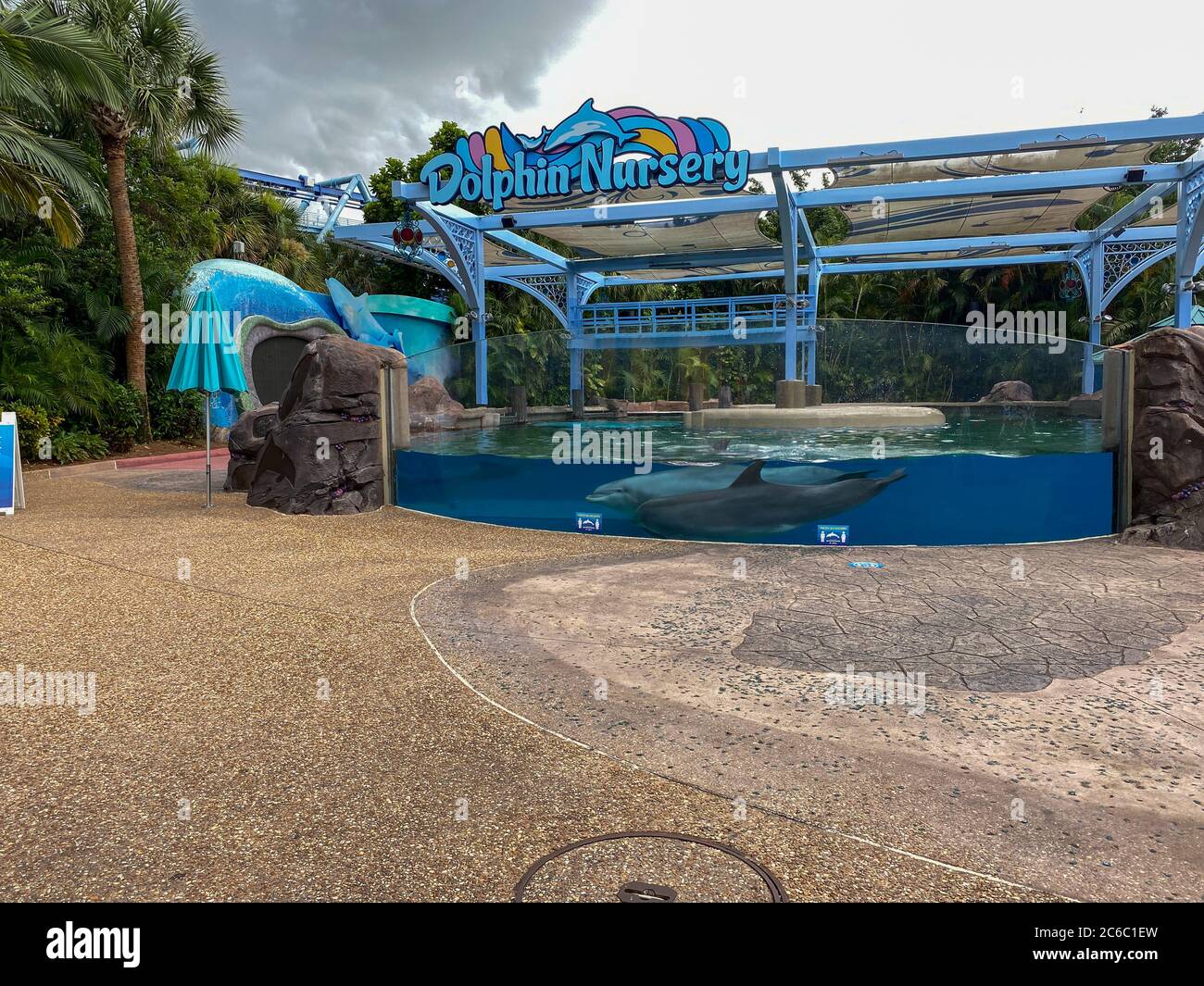 Seaworld Orlando Dolphin High Resolution Stock Photography and Images ...