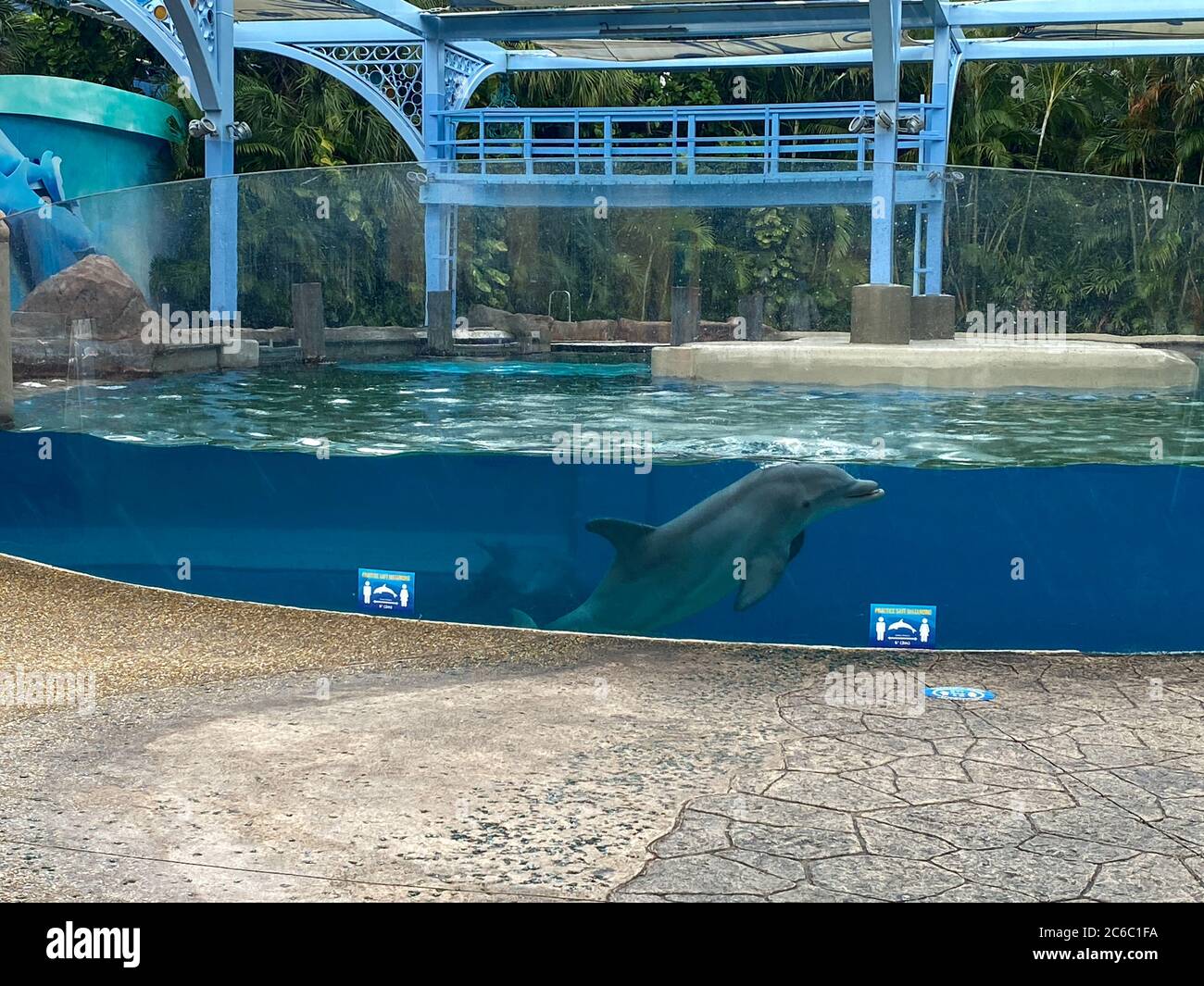 Seaworld Orlando Dolphin High Resolution Stock Photography and Images ...