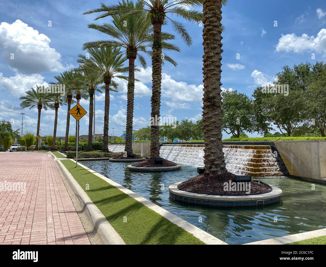 An outdoor view of a water feature at a mall with a line of palm trees ...
