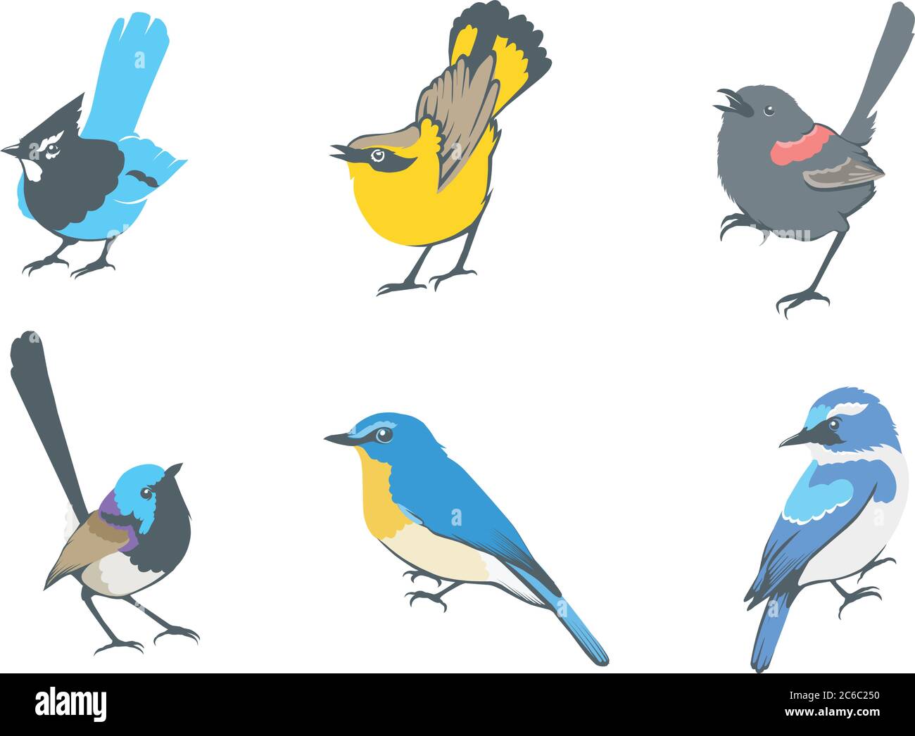bird vector set Stock Vector Image & Art - Alamy