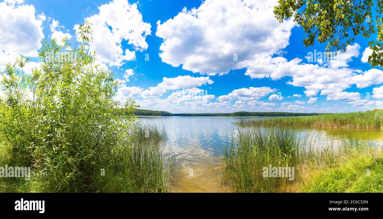 Calm pond and water plants in a beautiful summer day Stock Photo - Alamy