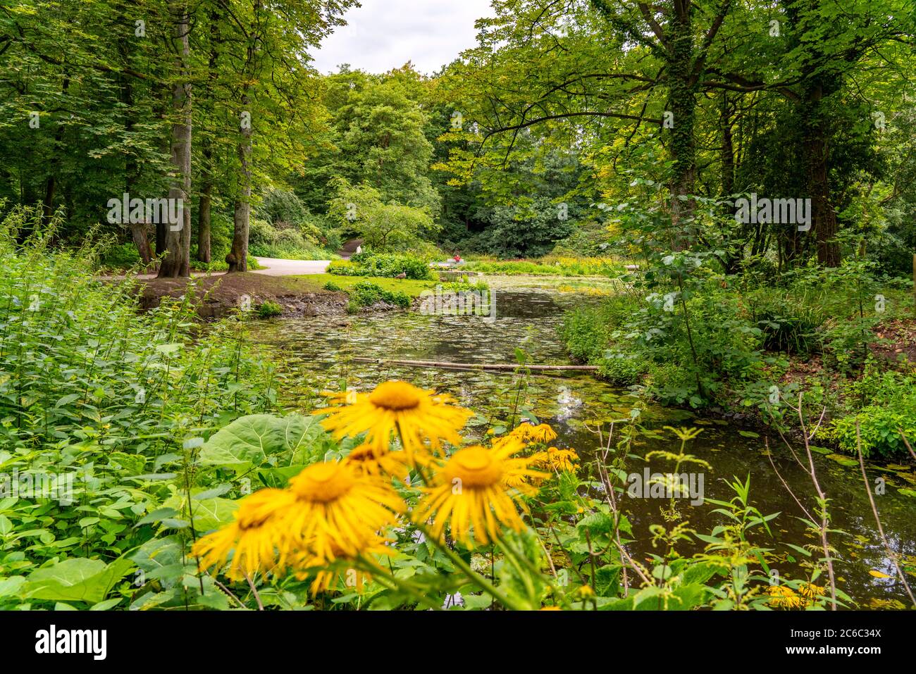 Borbeck Castle, Schlosspark, Essen, NRW, Germany Stock Photo - Alamy