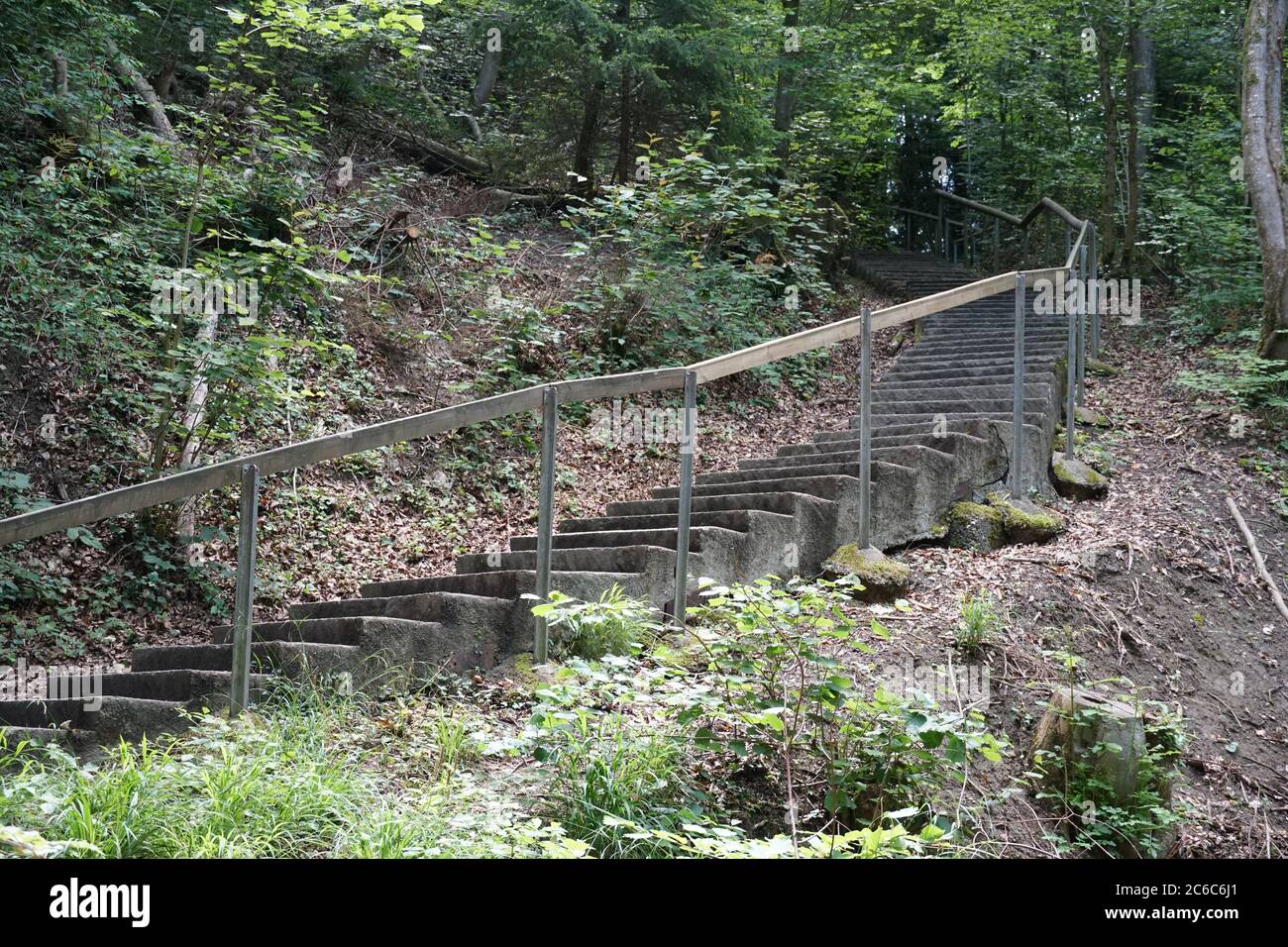 Stairs with wooden barrier railing in the dense forest as part of ...