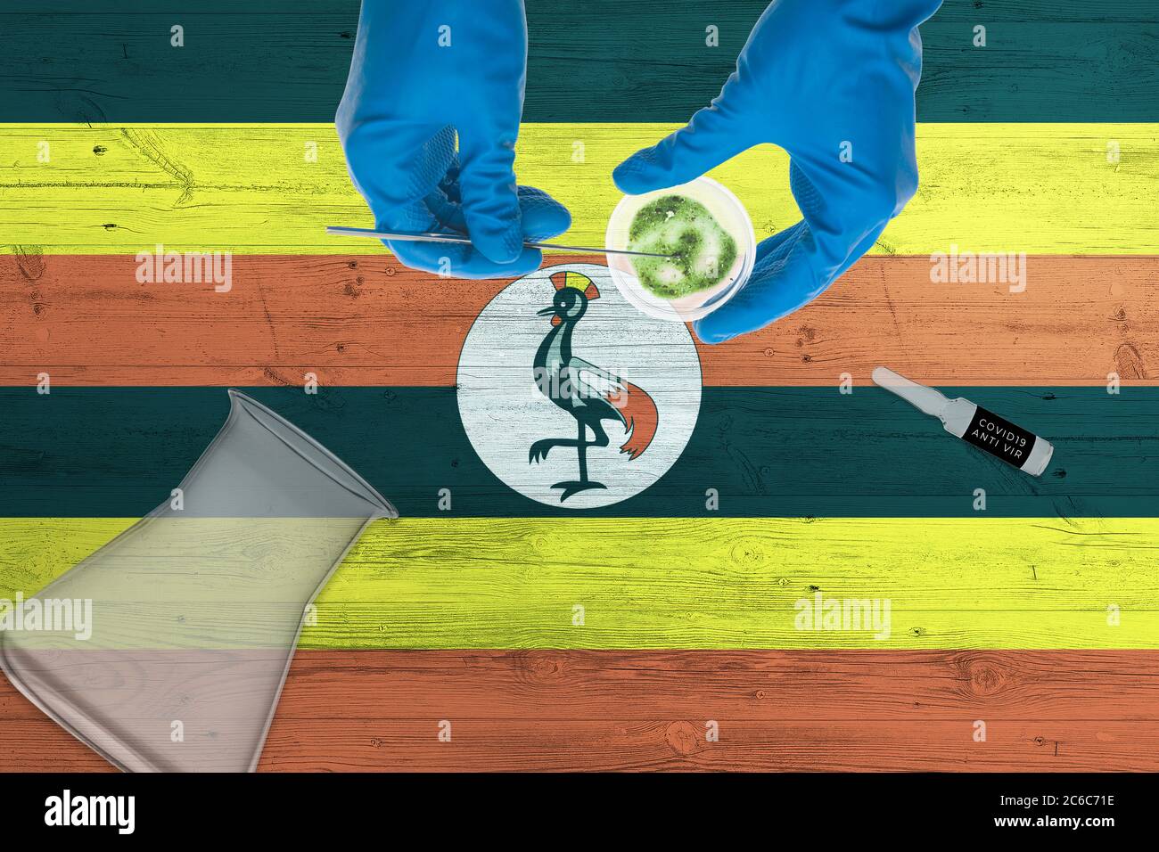 Uganda flag on laboratory table. Medical healthcare technologist ...