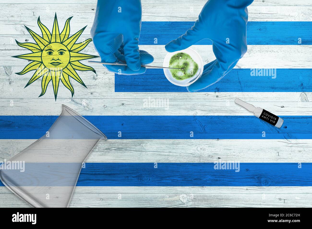 Uruguay flag on laboratory table. Medical healthcare technologist ...