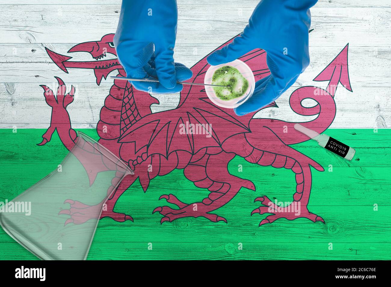 Wales flag on laboratory table. Medical healthcare technologist holding ...