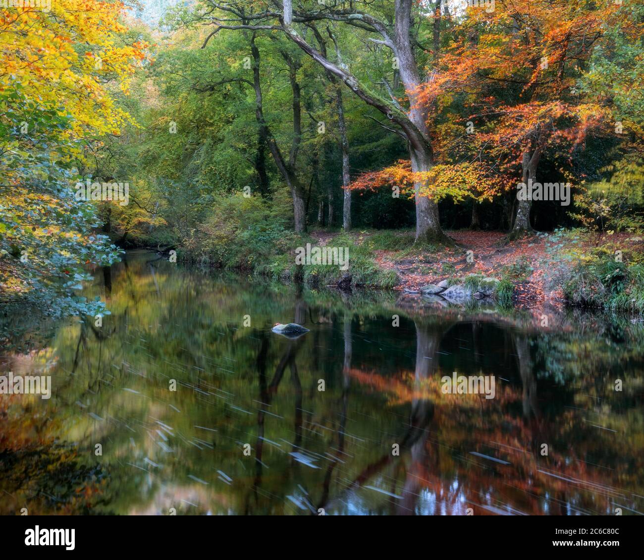 Fingle bridge hill hi-res stock photography and images - Alamy
