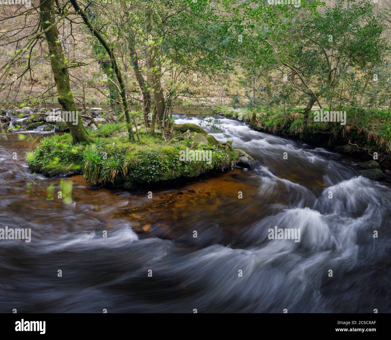 River Teign near Fingle Bridge Stock Photo - Alamy