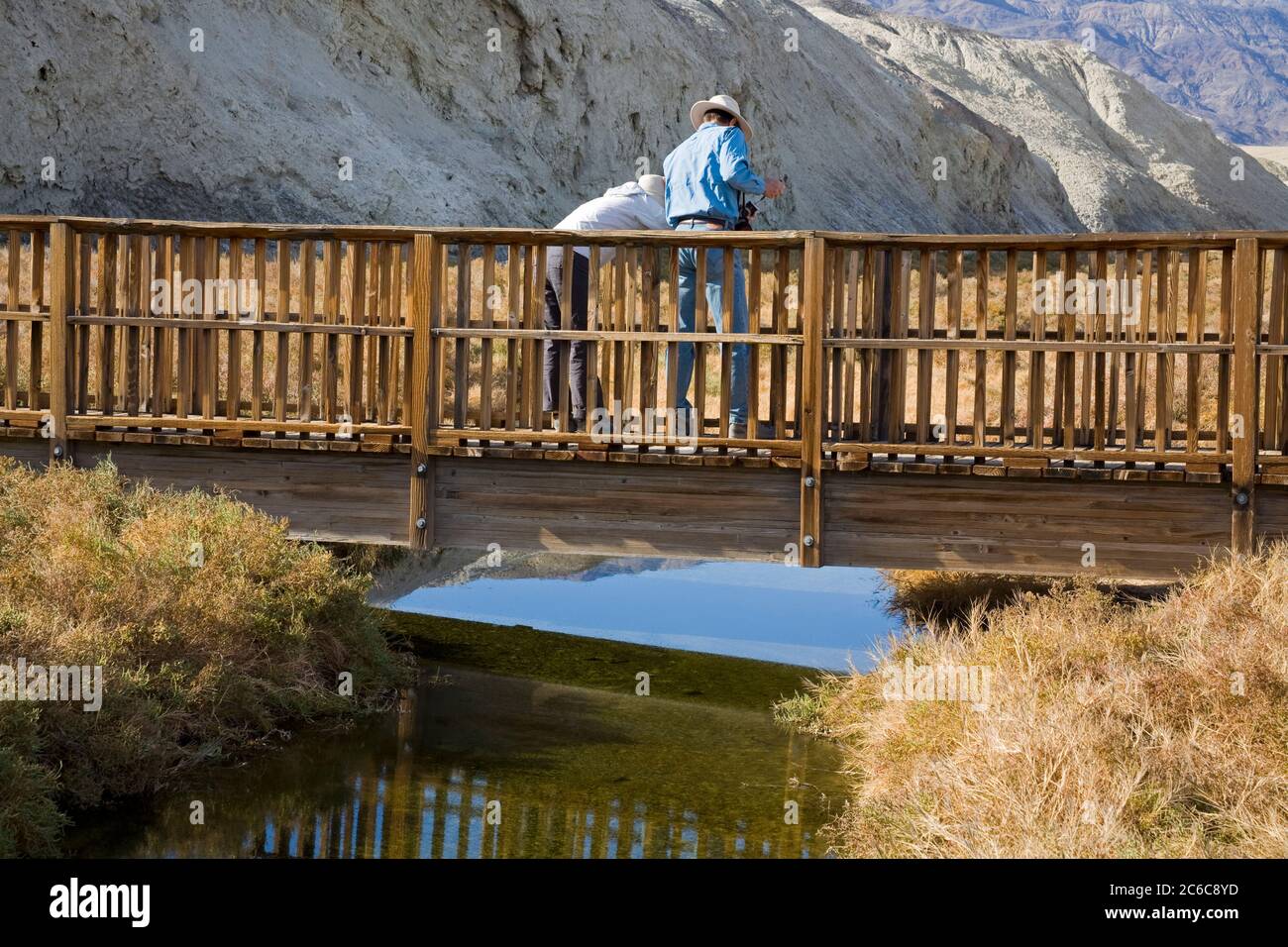 Pupfish hi-res stock photography and images - Alamy