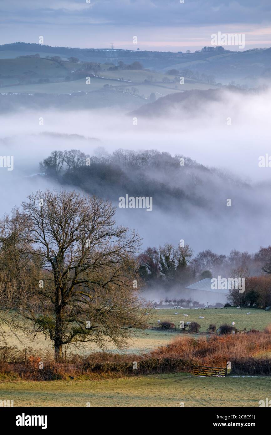Valley tree hi-res stock photography and images - Alamy