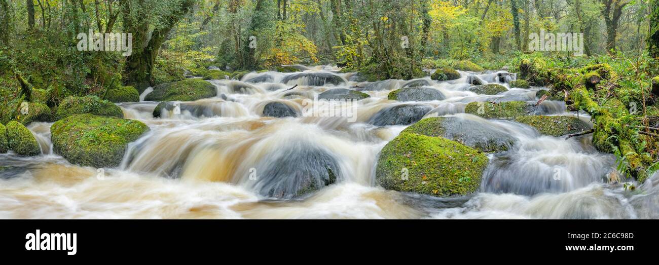 Horsham Steps on the river Bovey, Dartmoor Stock Photo - Alamy