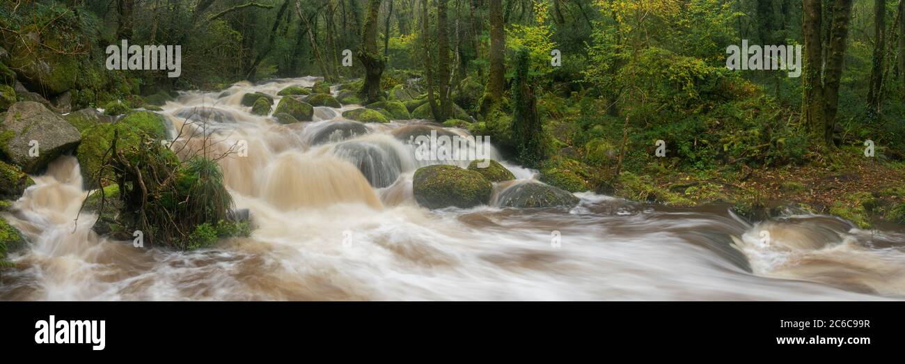 Horsham Steps on the river Bovey, Dartmoor Stock Photo - Alamy