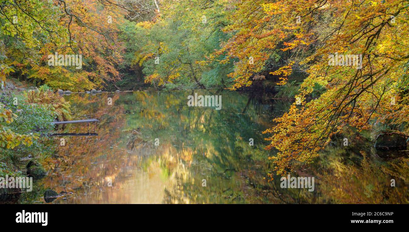 Fingle bridge hill hi-res stock photography and images - Alamy