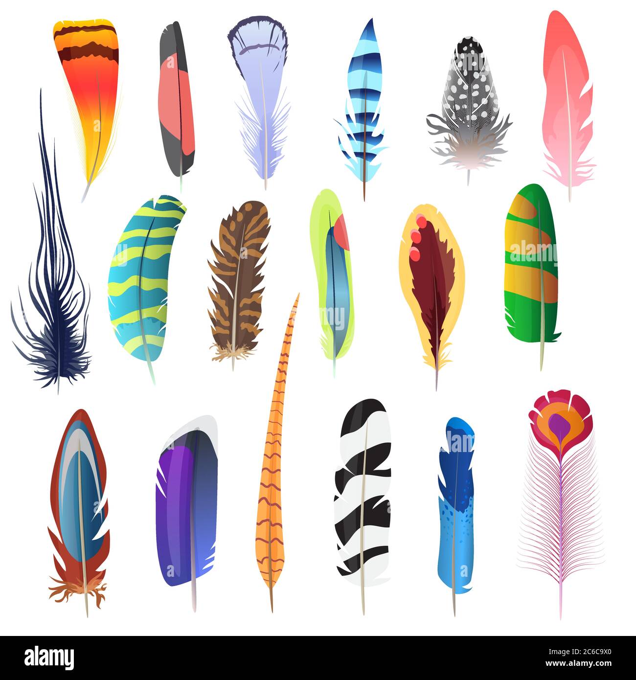 Collection of detailed color bird feathers set. Decoration elements ...