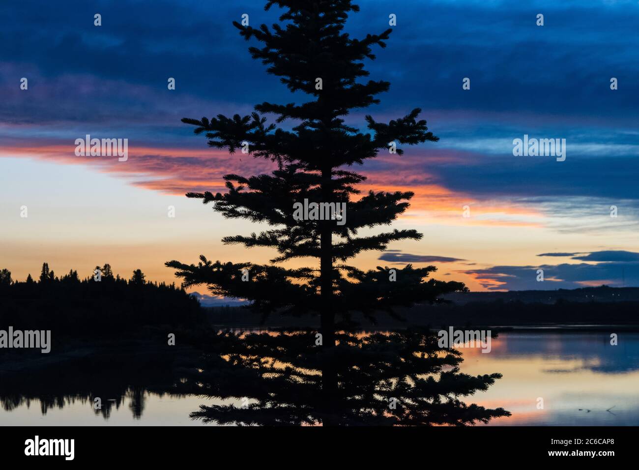 Big tree sunset beautiful sunset hi-res stock photography and images ...