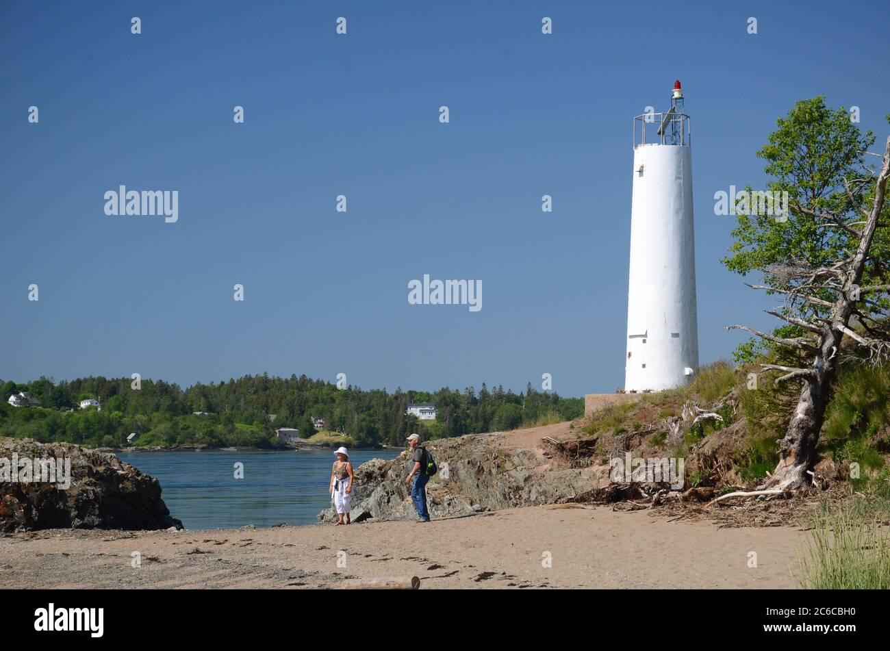 Old sow bay of fundy hi-res stock photography and images - Alamy