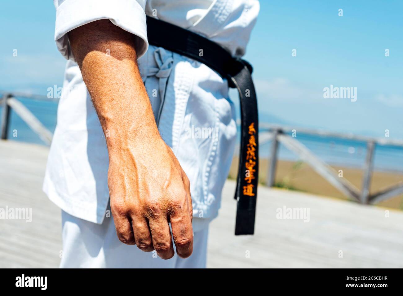 Black belt karate expert hi-res stock photography and images - Alamy