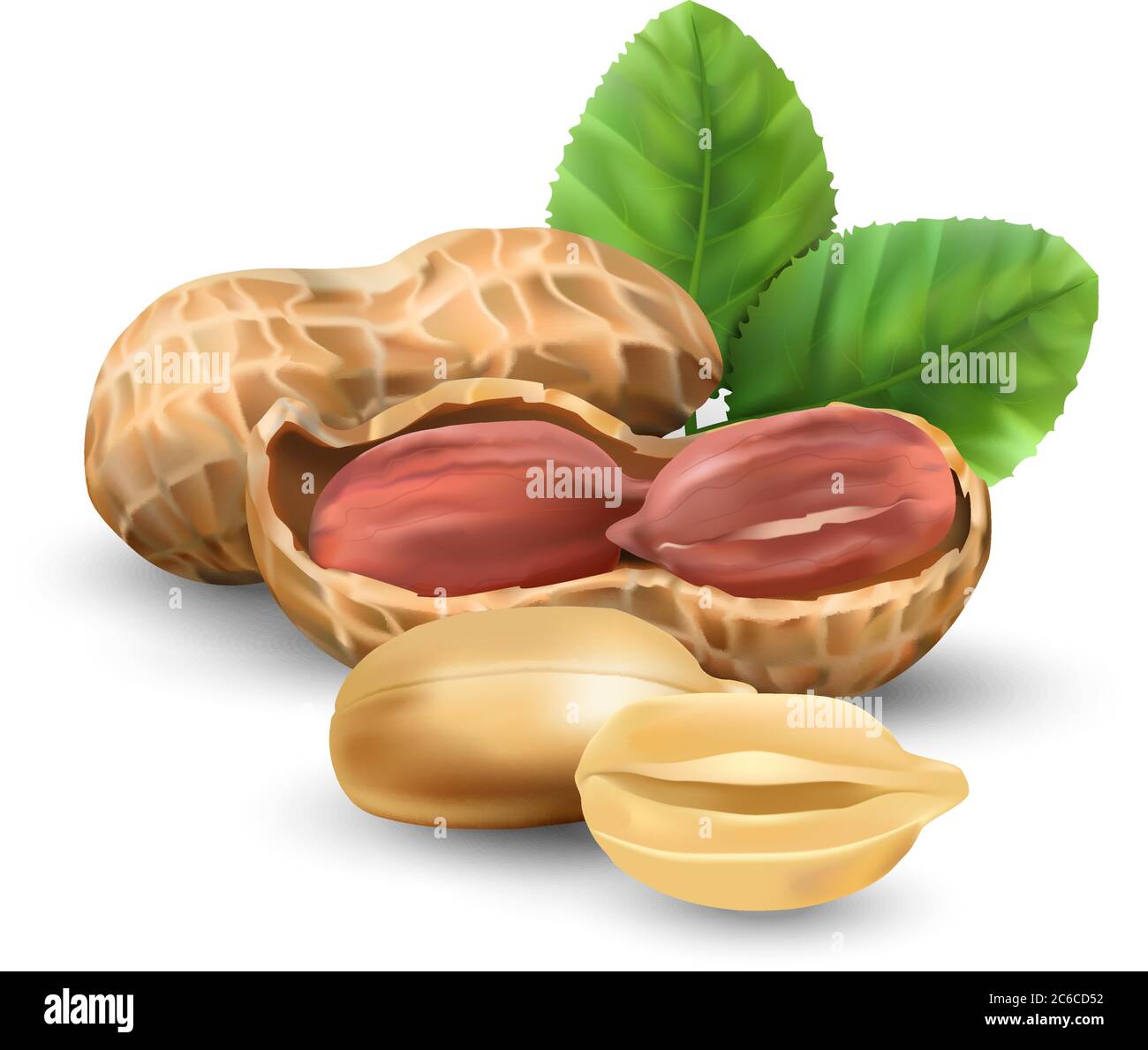 Peanuts in vector 3D illustration realistic. For packaging with peanut ...