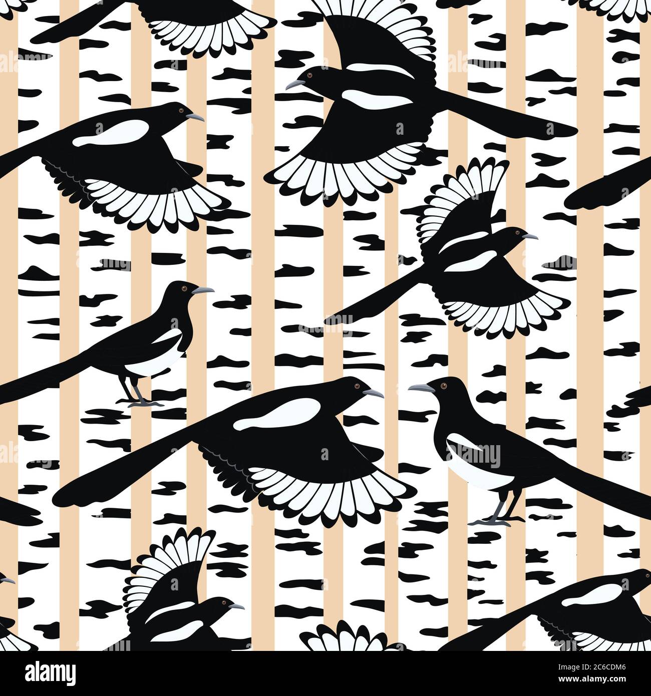 Magpie magpies bird birds Stock Vector Images - Alamy