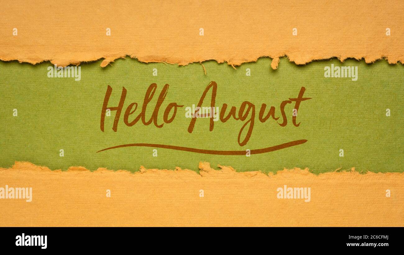Hello August Photography