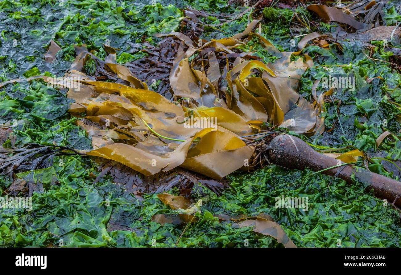 Carbon capture usa hi-res stock photography and images - Alamy