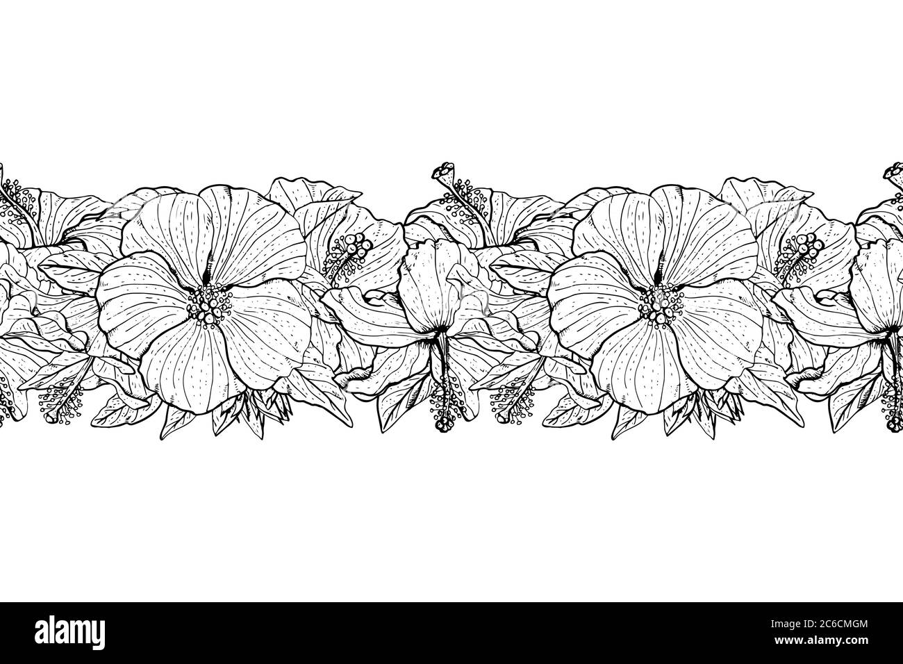Hibiscus Black And White Border