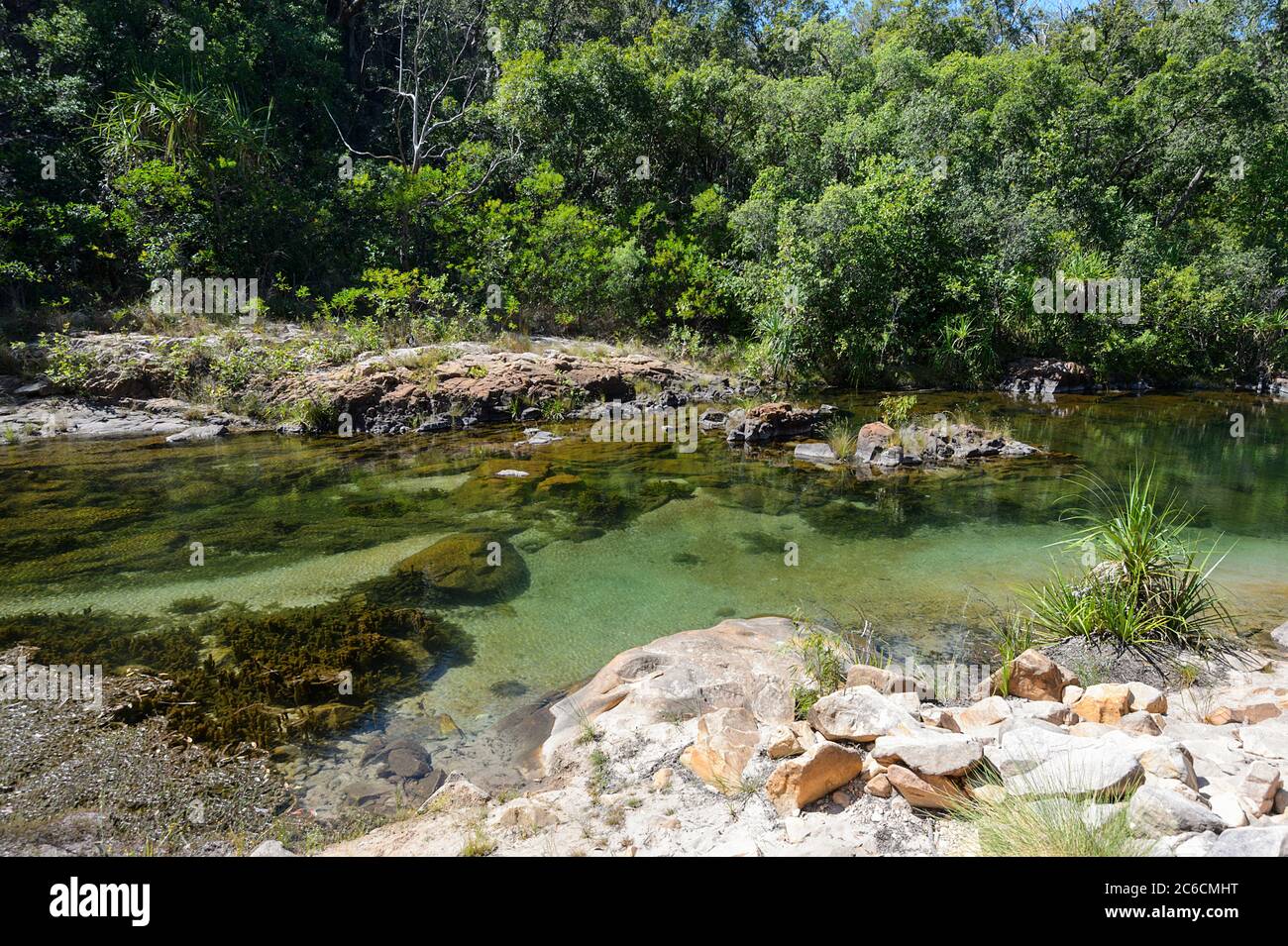 Barramundi nt hi-res stock photography and images - Alamy