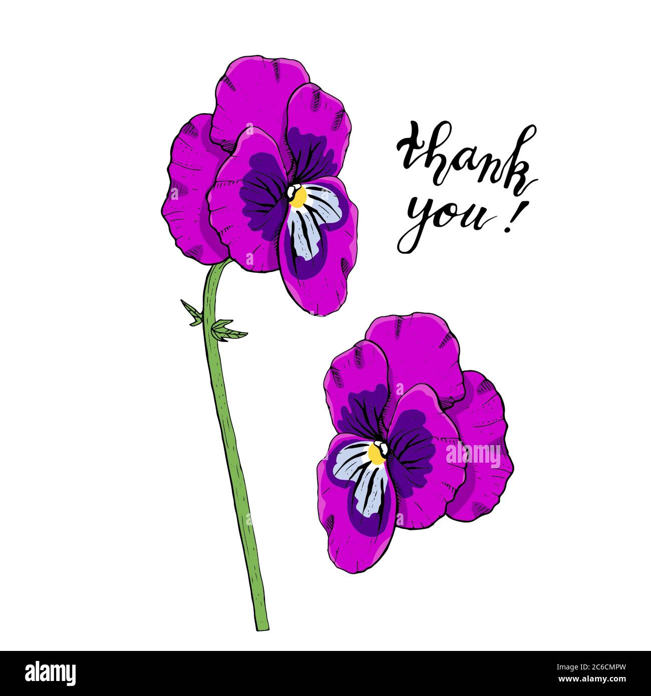 Hand drawn pansy flowers clipart. Floral design element. Side view ...